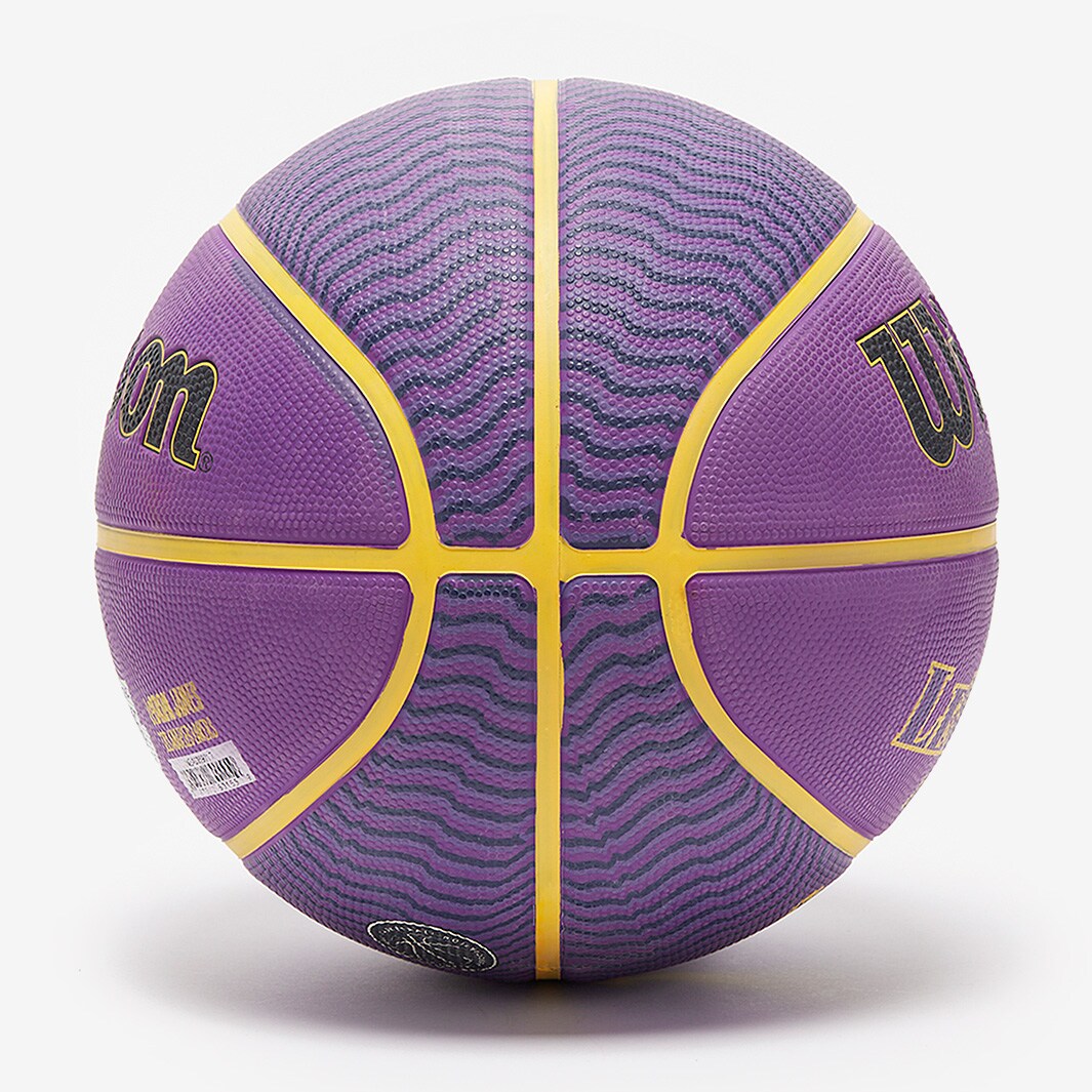 Wilson NBA Player Icon Outdoor Lebron James - Size 7 - Basketballs ...