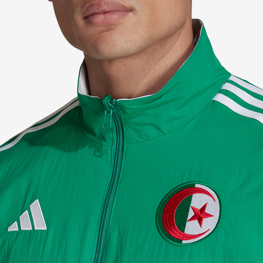 Veste adidas Algérie 2022 World Cup Anthem - Vert Vif/Blanc - Vêtements ...