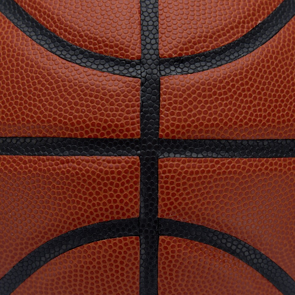 Basketballs - Wilson Evolution - Size 7 - WTB0516