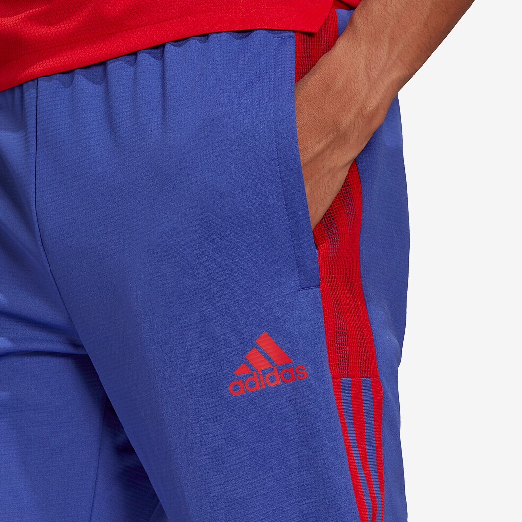 adidas Tiro Training Pant - Semi Night Flash - Bottoms - Mens Clothing