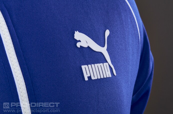 Blue Puma Logo