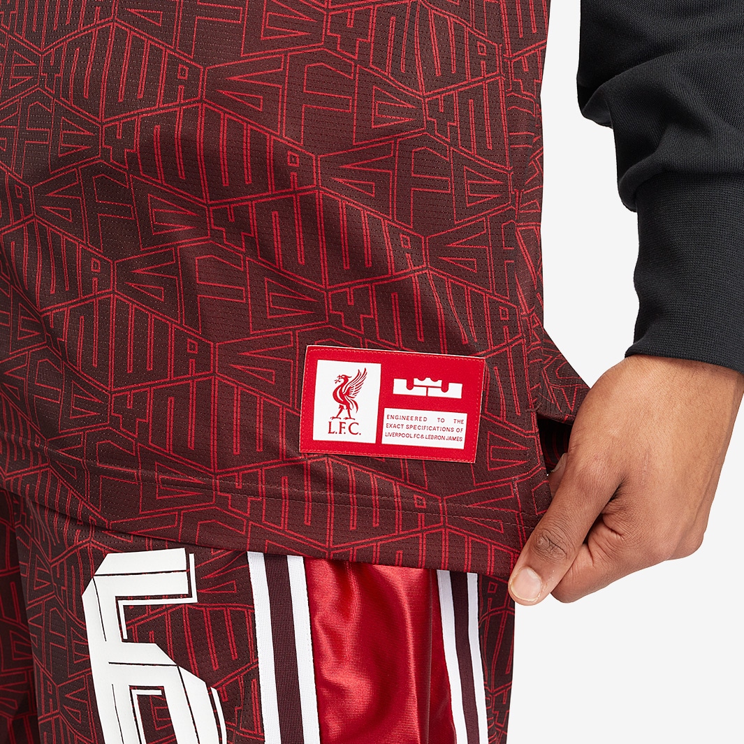 Camiseta Nike LeBron James Liverpool FC DNA - Burdeos Crush/Blanco ...