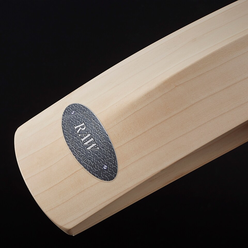 Salix Raw T20 Marque Cricket Bat - Silver - Cricket Bats - SALRT20MCB ...