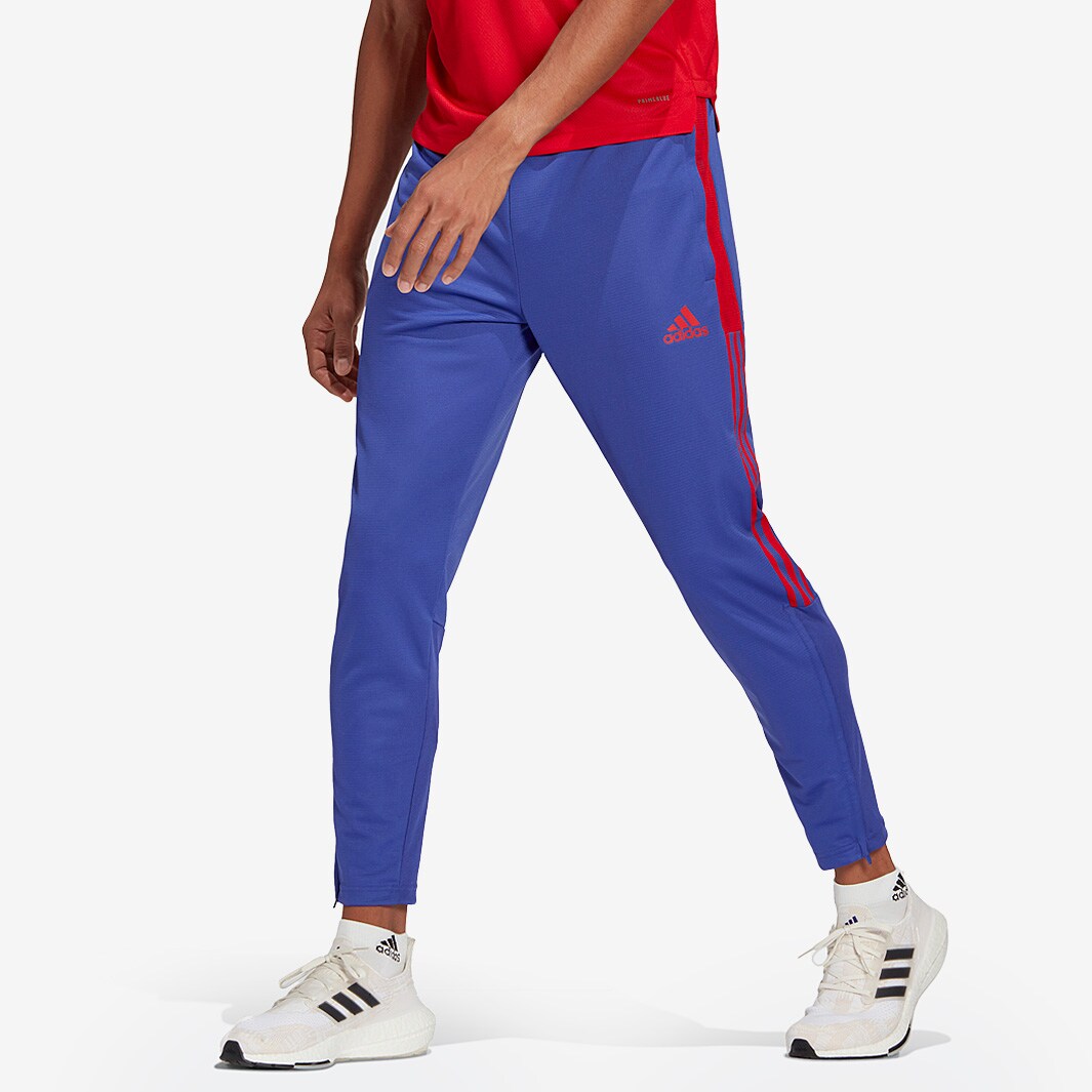 adidas Tiro Training Pant - Semi Night Flash - Bottoms - Mens Clothing